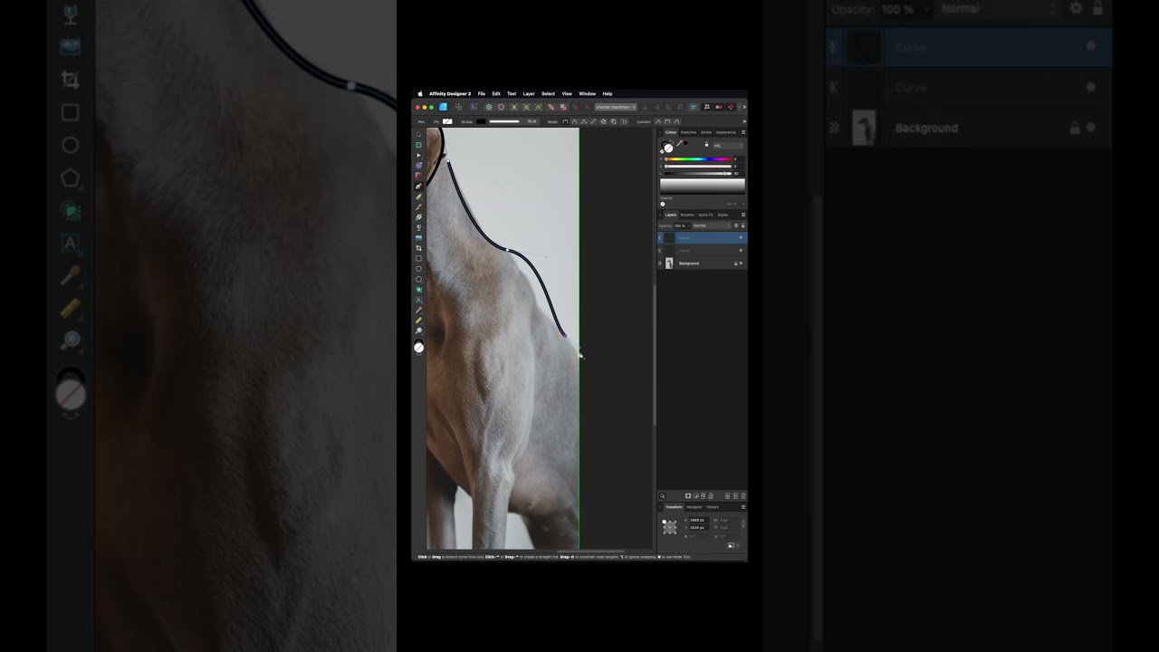 Creating Animal Outline Logos | Affinity Designer Tutorial