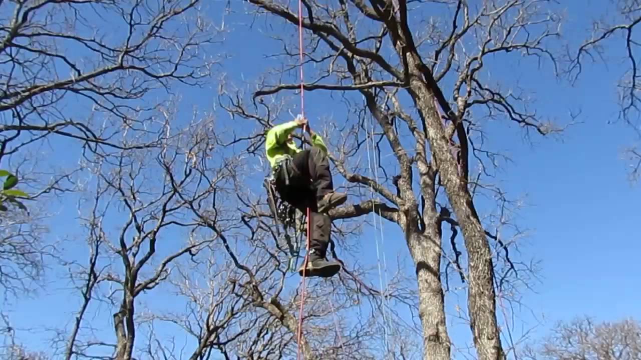 Open Air Ascent Using a Frog Walker