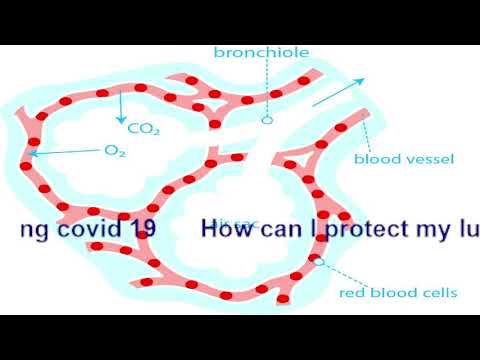 How can we protect lungs from corvid- 19 2021 06 06 08 26 29