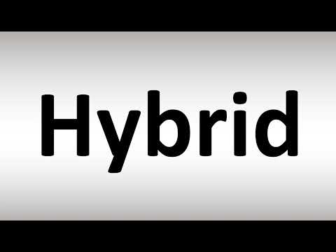 How to Pronounce Hybrid