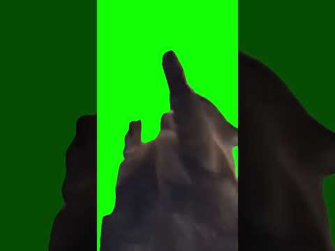 Screaming Cat Meme 2 #shorts #catmeme #greenscreen