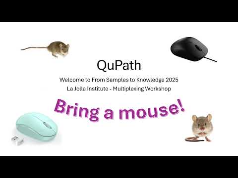 FS2K2025 Workshop Introduction