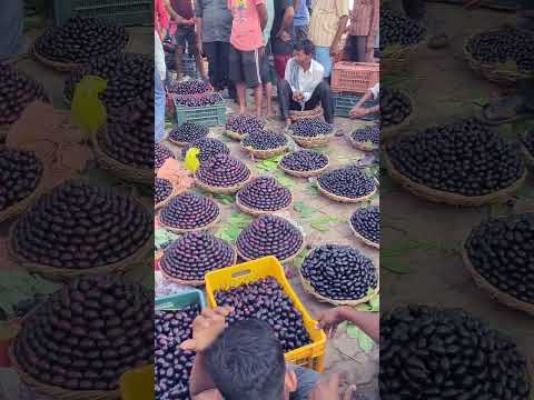 Best Jamun Market #jamun #market