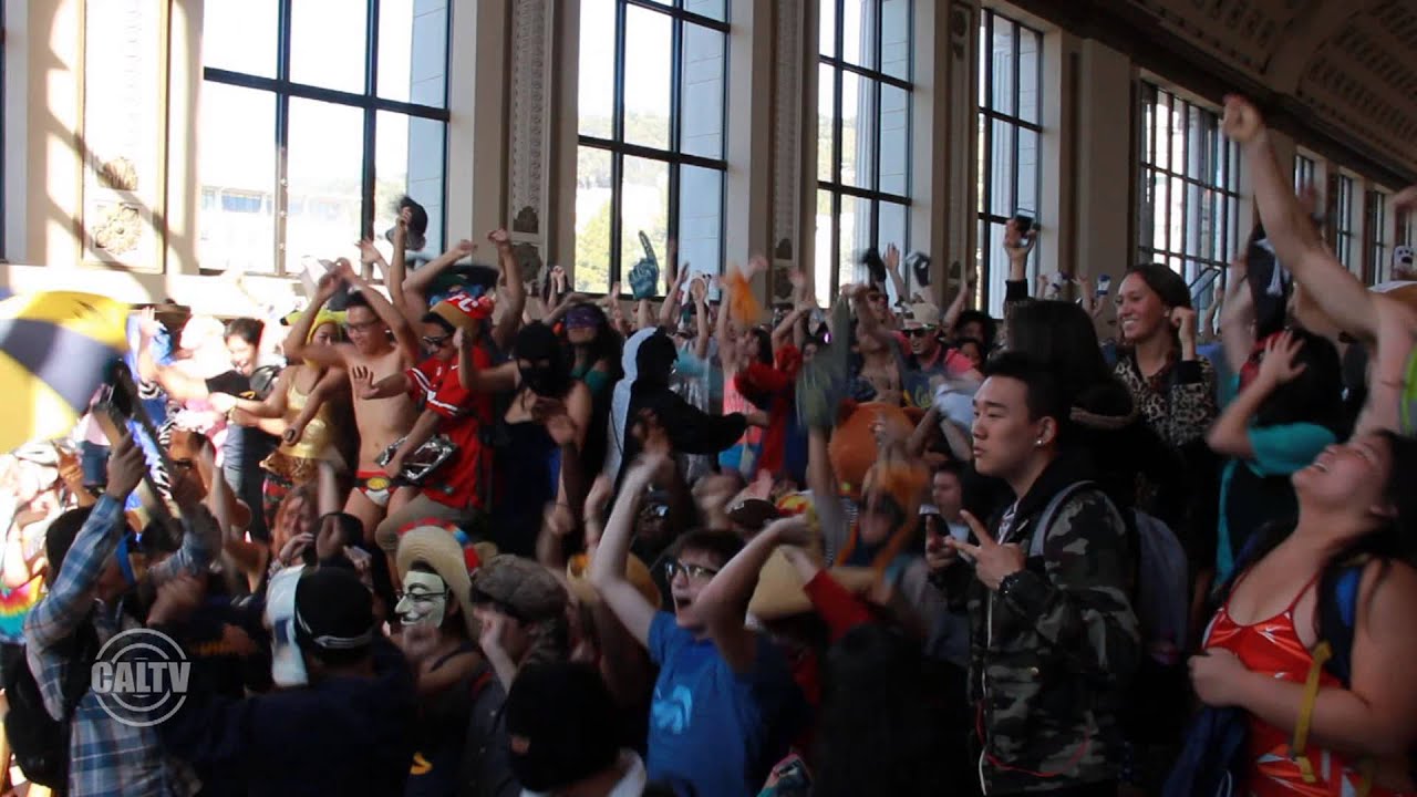 UC BERKELEY HARLEM SHAKE