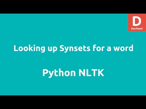 Lookup Synset wordnet Python NLTK