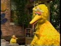 Sesame Street 3717 Watch HD Mp4 Video Download Free