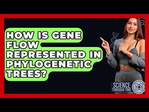 How Is Gene Flow Represented In Phylogenetic Trees? - Science Through Time