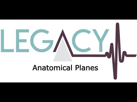 Anatomical Plane Review