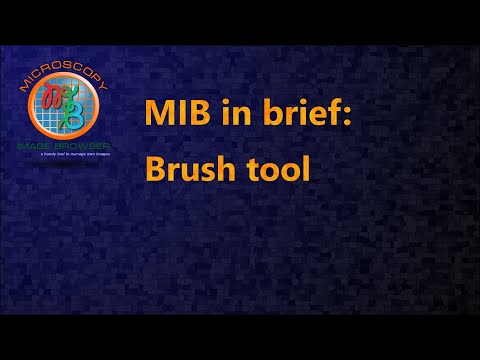 MIB Brief: Brush tool