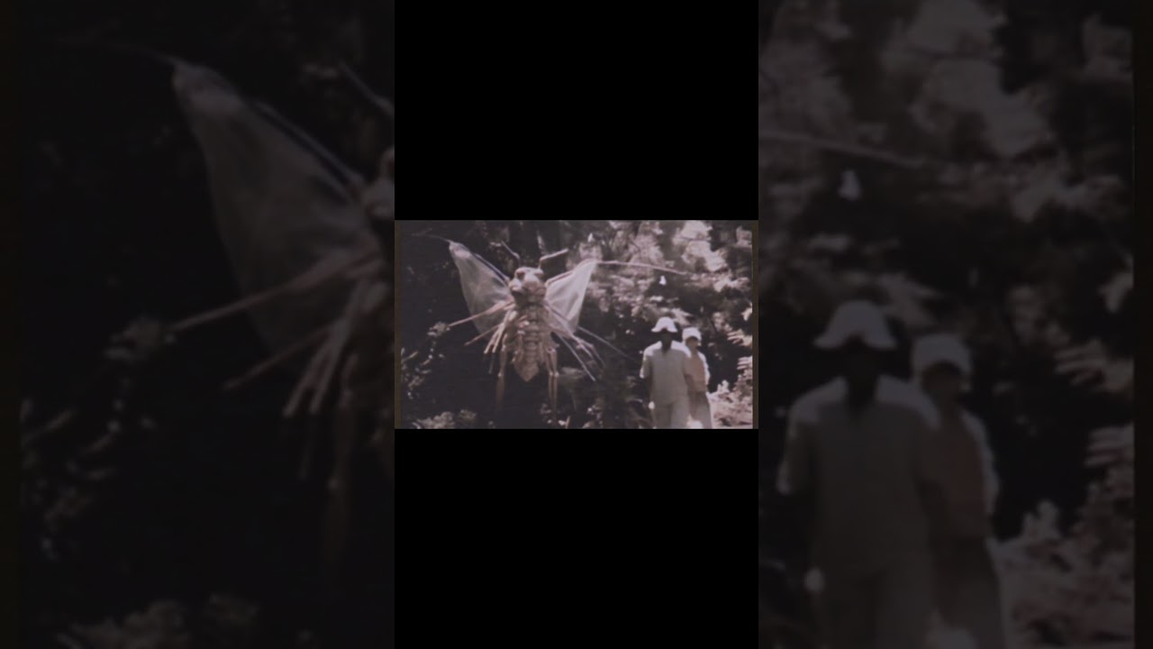 So Much Wrong Here #ai #midjourney #runwaygen2 #beast #creepy #monster