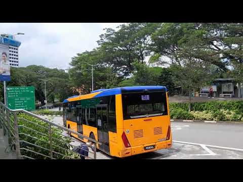 NUS ISB: [PD804L] On Service D1 Departing Opp Yusof Ishak House Bus Stop Along Kent Ridge Crescent