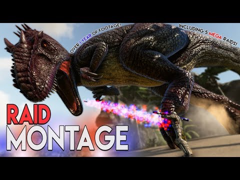 Steam Community :: Video :: Raid Montage - Raid Compilation: One Year ...