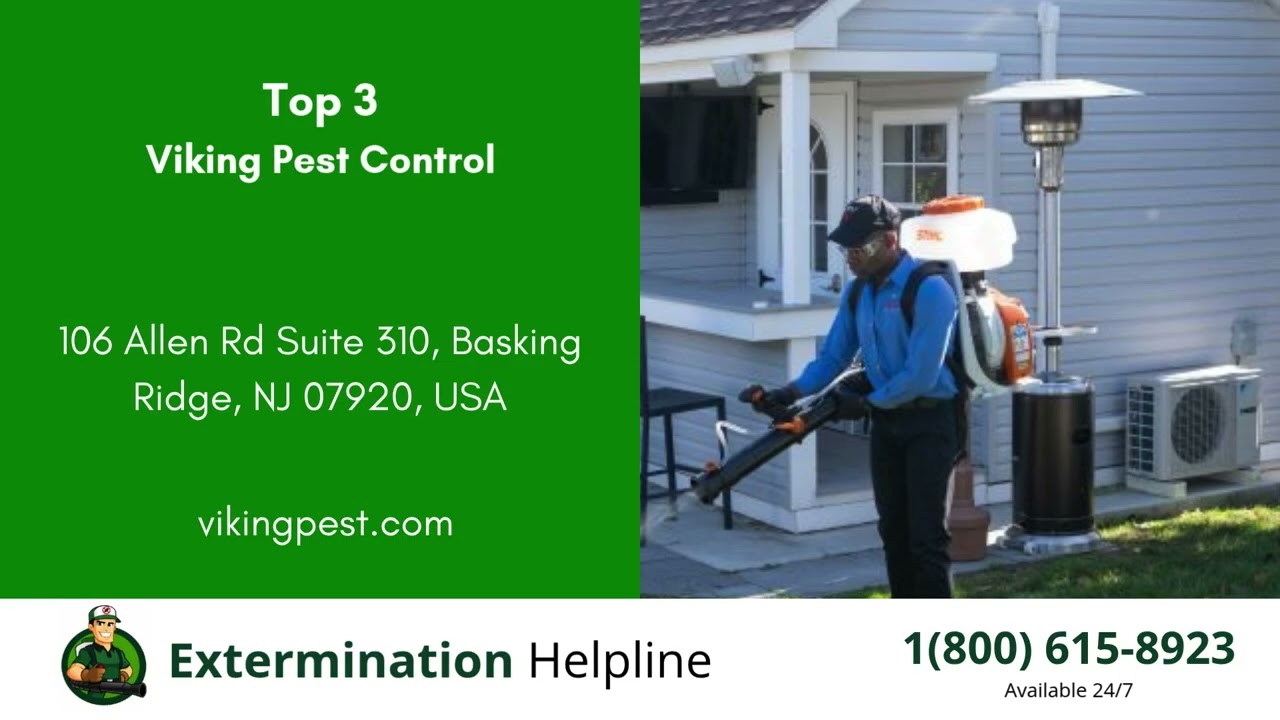 Top 3 Exterminators in Bridgewater