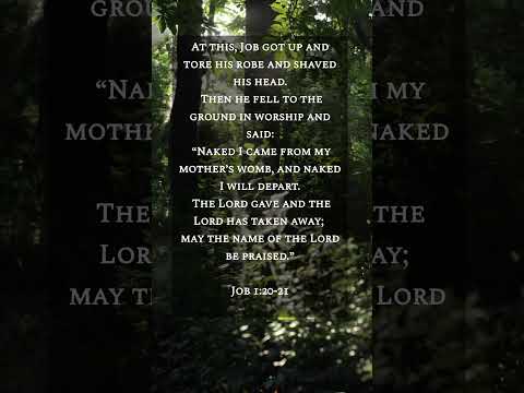 BIBLE VERSE JOB 1:20-21 #bible #shorts