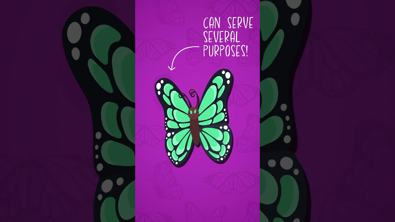 I Wonder… why are butterflies so colourful? #education #butterflyfacts #animalfacts #pollinator