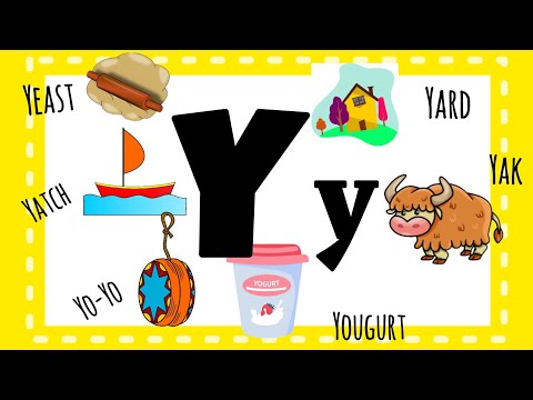 "Yy" for Objects | Words Start with Letter Y | Y for things for Kids | Letter Y Words