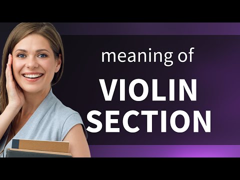 Violin section | what is VIOLIN SECTION definition