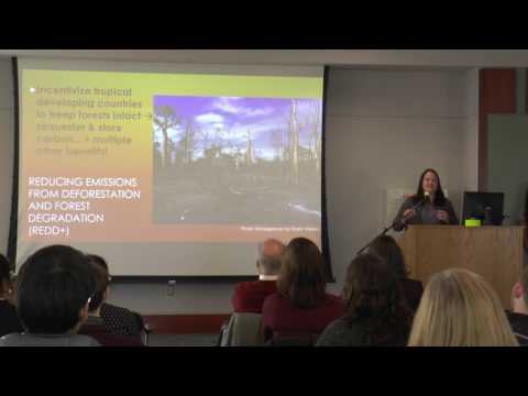 Develop Carbon Sequestration Methods: Maggie Holland
