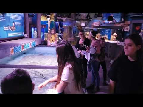 Mertailor's mermaid aquarium 2023(1)