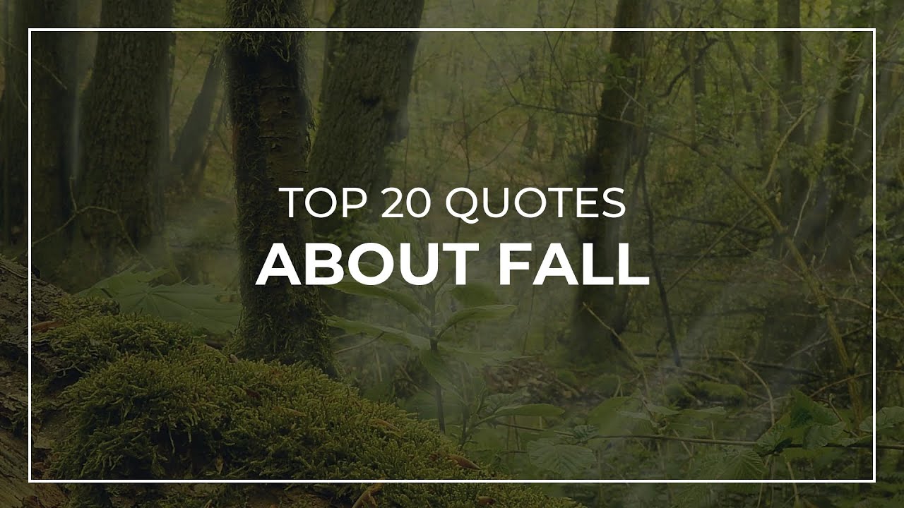 TOP 20 Quotes about Fall | Daily Quotes | Beautiful Quotes | Motivational Quotes