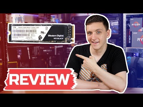 Best NVMe SSD? | WD Black 1TB Review