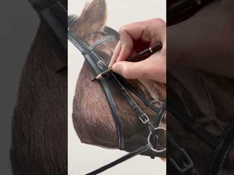Realistic horse drawing 🤯 I made this draw with colored pencils #realisticdrawing #drawing #horse