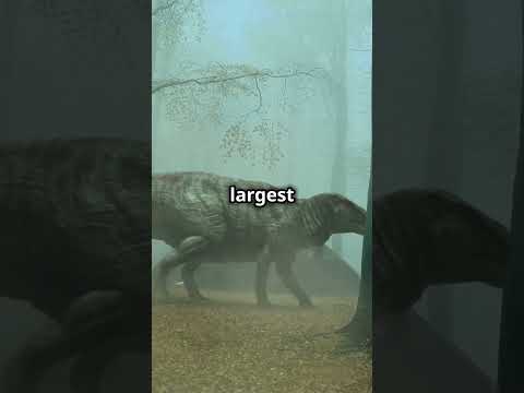 The Biggest Dinosaur Ever: Meet Argentinosaurus | 🦖🌍#dinosaurs #argentinosaurus #shorts #facts