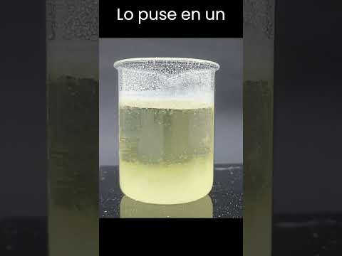 ✅Cómo hacer Cloruro de Calcio 🪨| Práctica de laboratorio 🧪 CaCl2