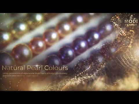 Exclusive Real Pearls | Loose Pearls | Modi Pearls (Original), Hyderabad