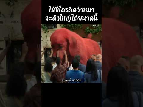 หมาฮีโร่ตัวนี้ช่วยชีวิตคนได้ยังไง #movie #film #movies #รีวิวหนัง #หนัง