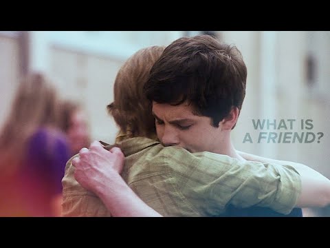 what is a friend? (multifandom)