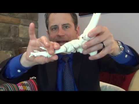 What is Morton's Neuroma?