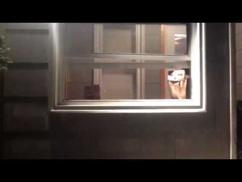 D money and l boy Spanish video