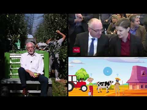 15 godina ekonomskih reformi u Srbiji: Siva knjiga u ogledalu