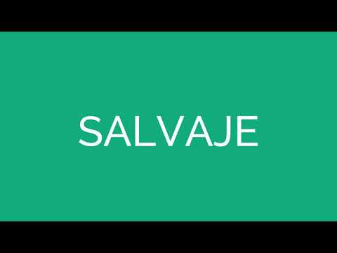 How To Say Savage In Spanish