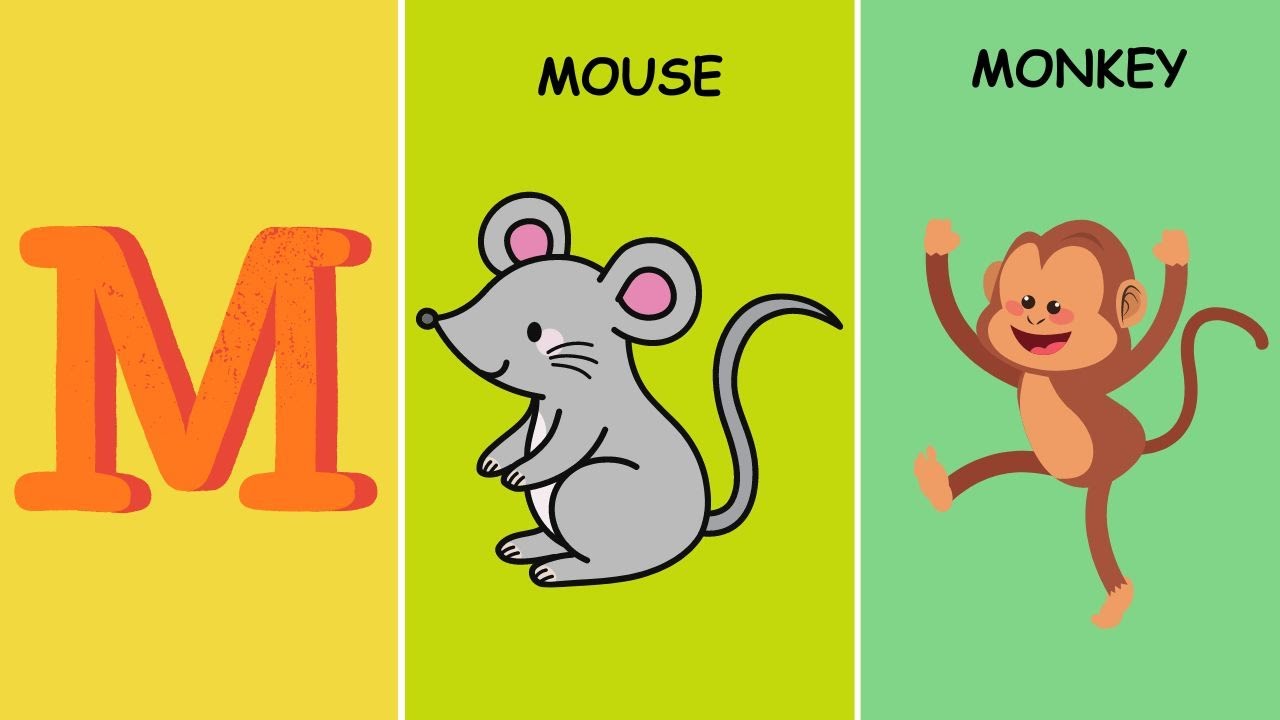 Letter M Flashcards For Kids! Learn Letter M Words With These Fun And Interactive Flashcards.