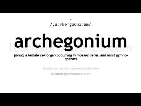 How to pronounce Archegonium | English pronunciation