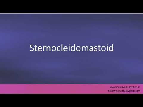 Pronunciation of the word(s) "Sternocleidomastoid".