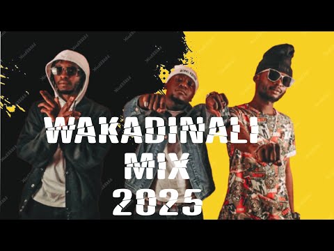 BEST OF WAKADINALI VIDEO MIX 2025 BY DJ CIFIC FT TAMASHANI, SIKUTAMBUI ,TOP SCORER ,MCMCA #drillmix