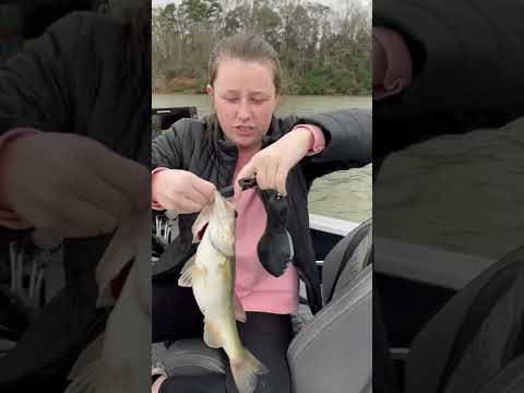 How to weigh a fish using scale