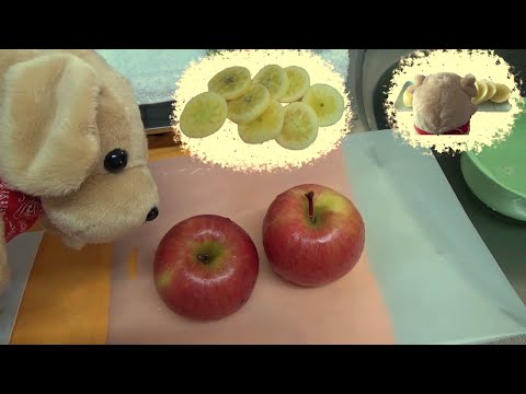 Apple komitsu | Made in Aomori , Japan | Honey apple