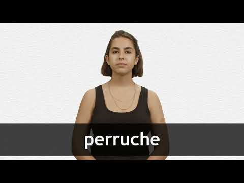 English Translation of “PERRUCHE” | Collins French-English Dictionary