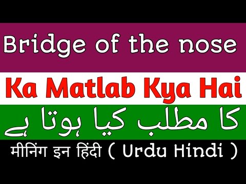 Bridge Of The Nose Meaning | Bridge Of The Nose Meaning In Urdu Hindi | Bridge Of The Nose Ka Matlab