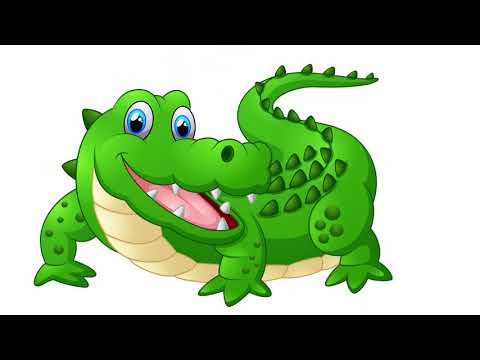 Animals that Start With The Letter A