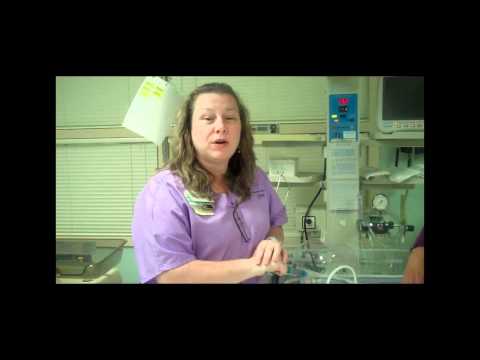 Who's-Who- Maternity Nurses