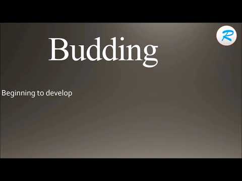 How to pronounce Budding