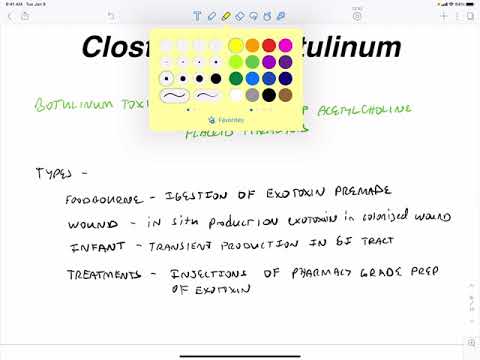 Major Anaerobic Bacteria