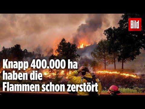 Heftige Feuer in Kalifornien: Gouverneur gibt dem Klimawandel Schuld an den Bränden