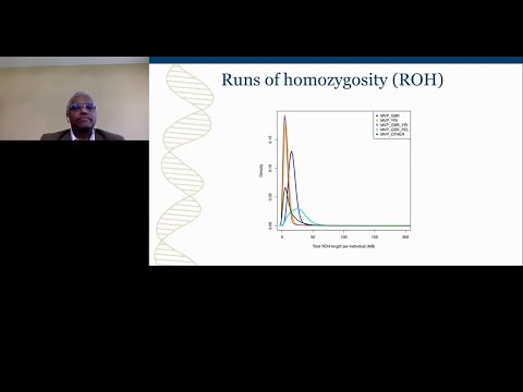 Investigating genetic diversity in the VA’s Million Veteran Program (MVP).