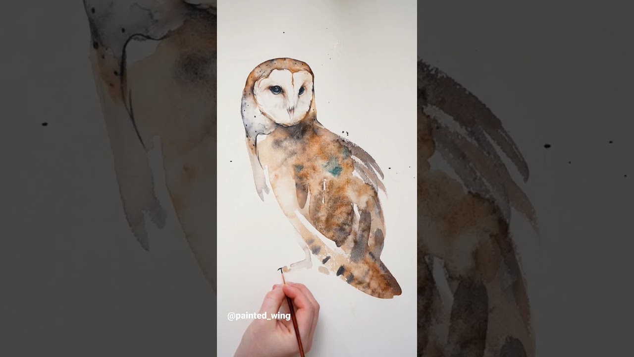 Barn Owl watercolor painting